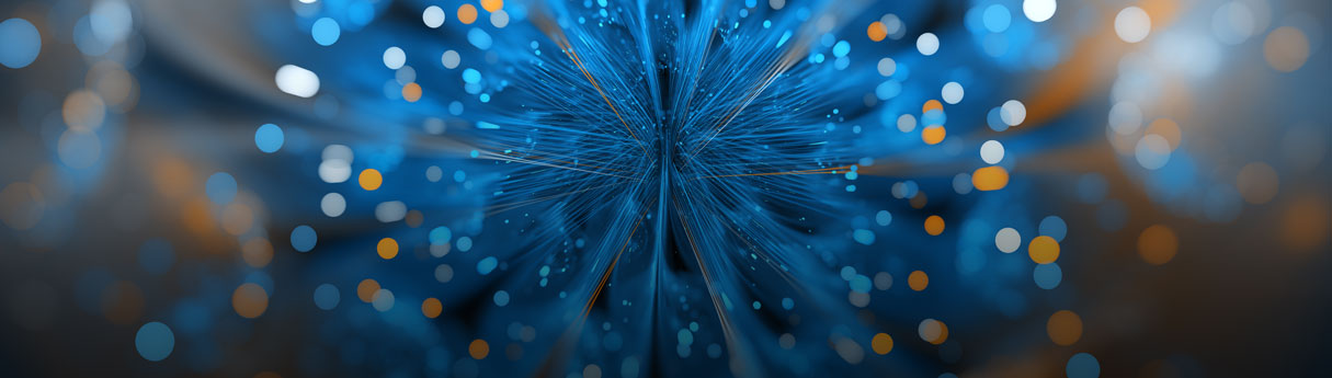 ICC and WTO announce selection of new project under Small Business ...