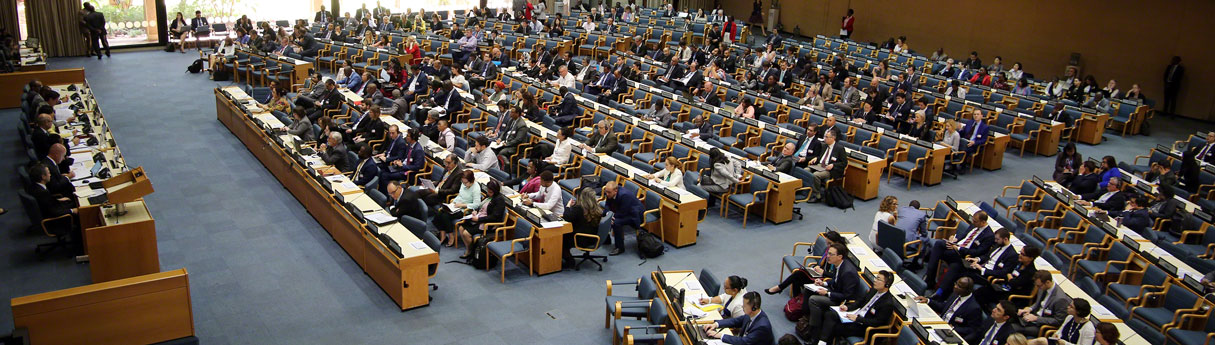 ICC addresses UN working group on the Global Pact for the Environment ...