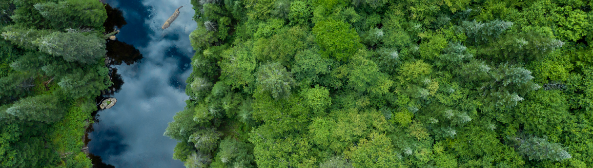 ICC announces major virtual forum for business at COP 26 - ICC ...