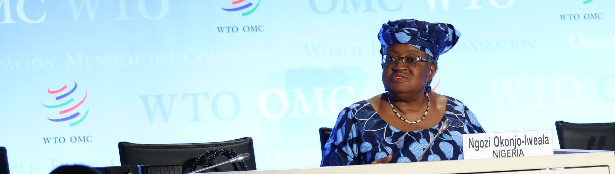 ICC welcomes reappointment of WTO head - ICC - International Chamber of ...