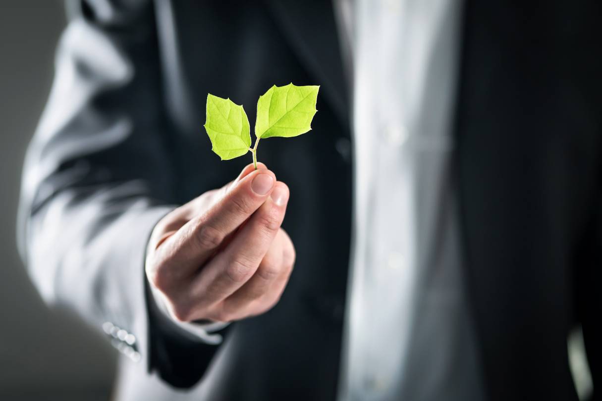 Small business competition puts MSMEs at the heart of the green ...