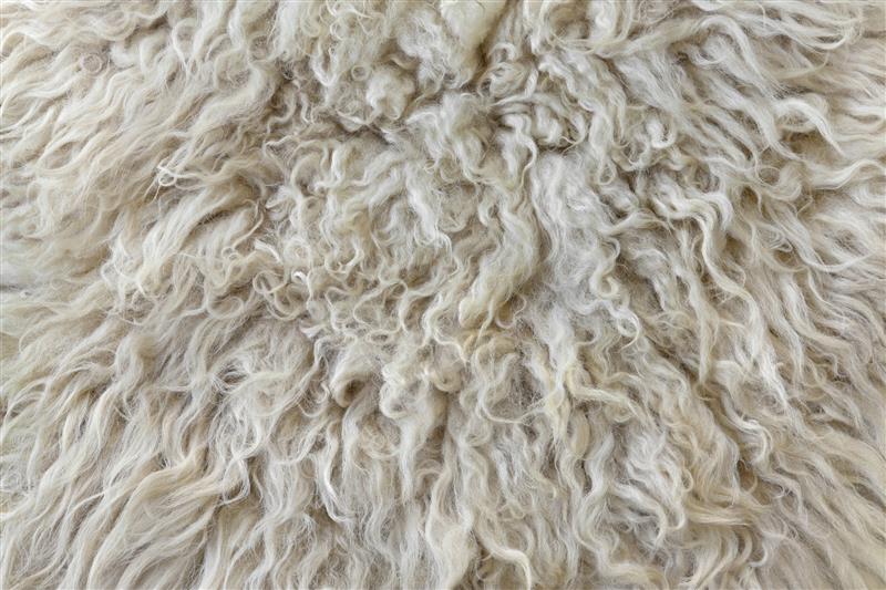 Wool is spinning a new future for sustainable packaging - ICC ...